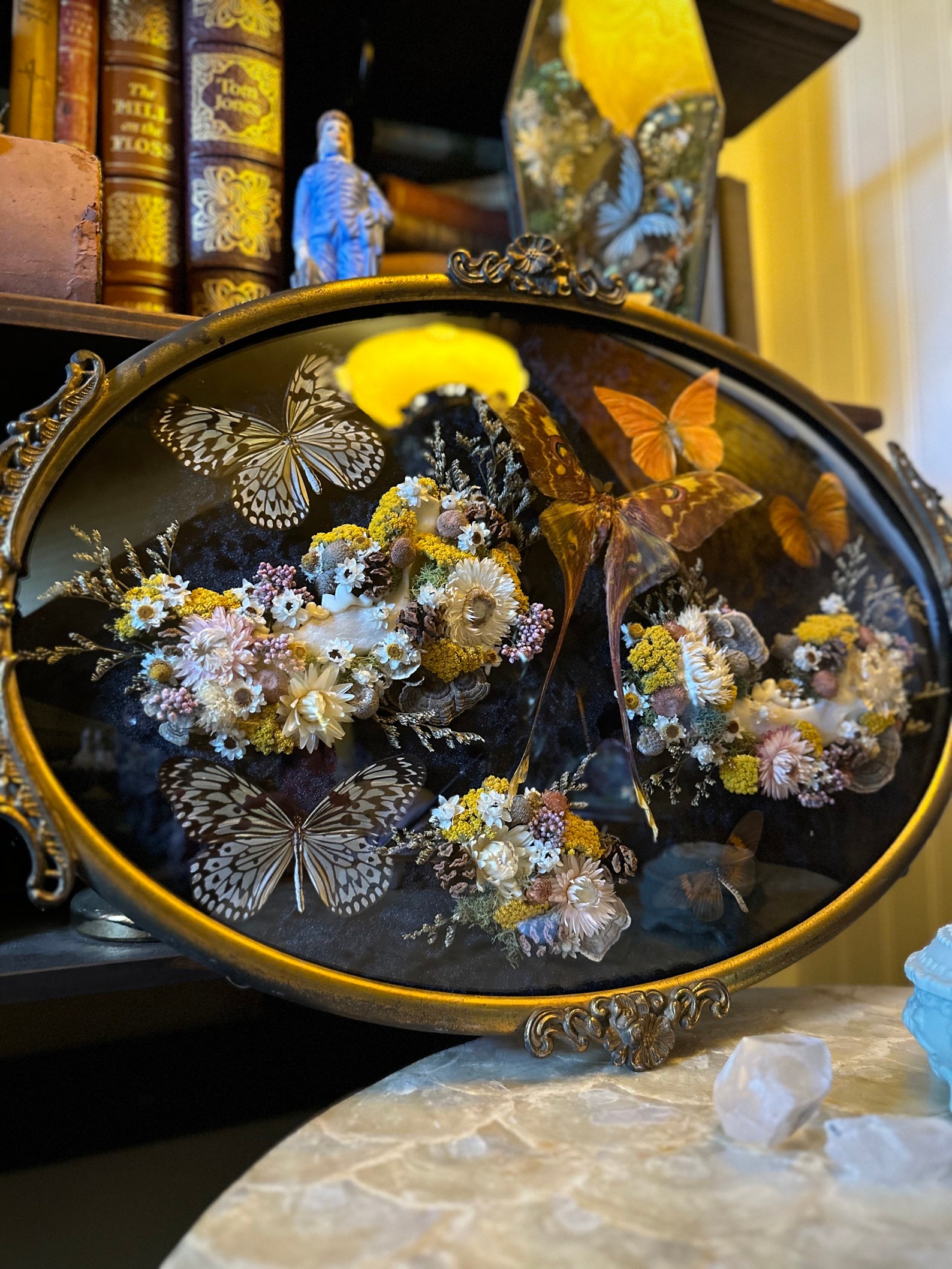 Antique Bubble Glass Insect Frame selenophile - Etsy