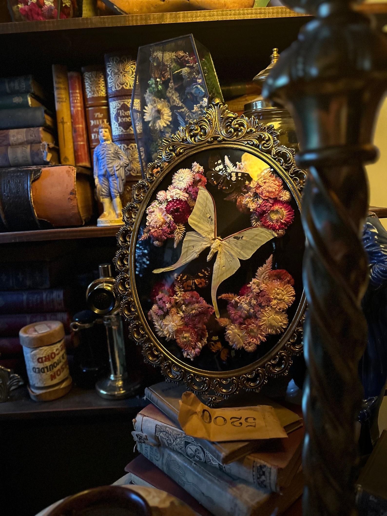 Vintage Bubble Glass Insect Frame la Réponse, C'est L'amour - Etsy