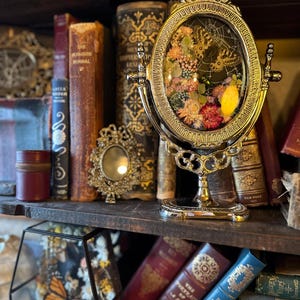 Bubble Glass Insect Stand Frame “surreptitious” - Etsy