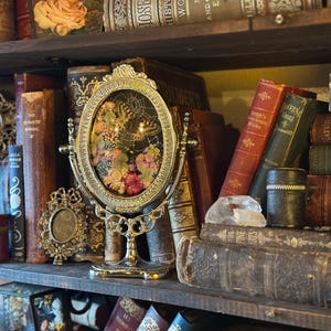 Bubble Glass Insect Stand Frame “surreptitious” - Etsy