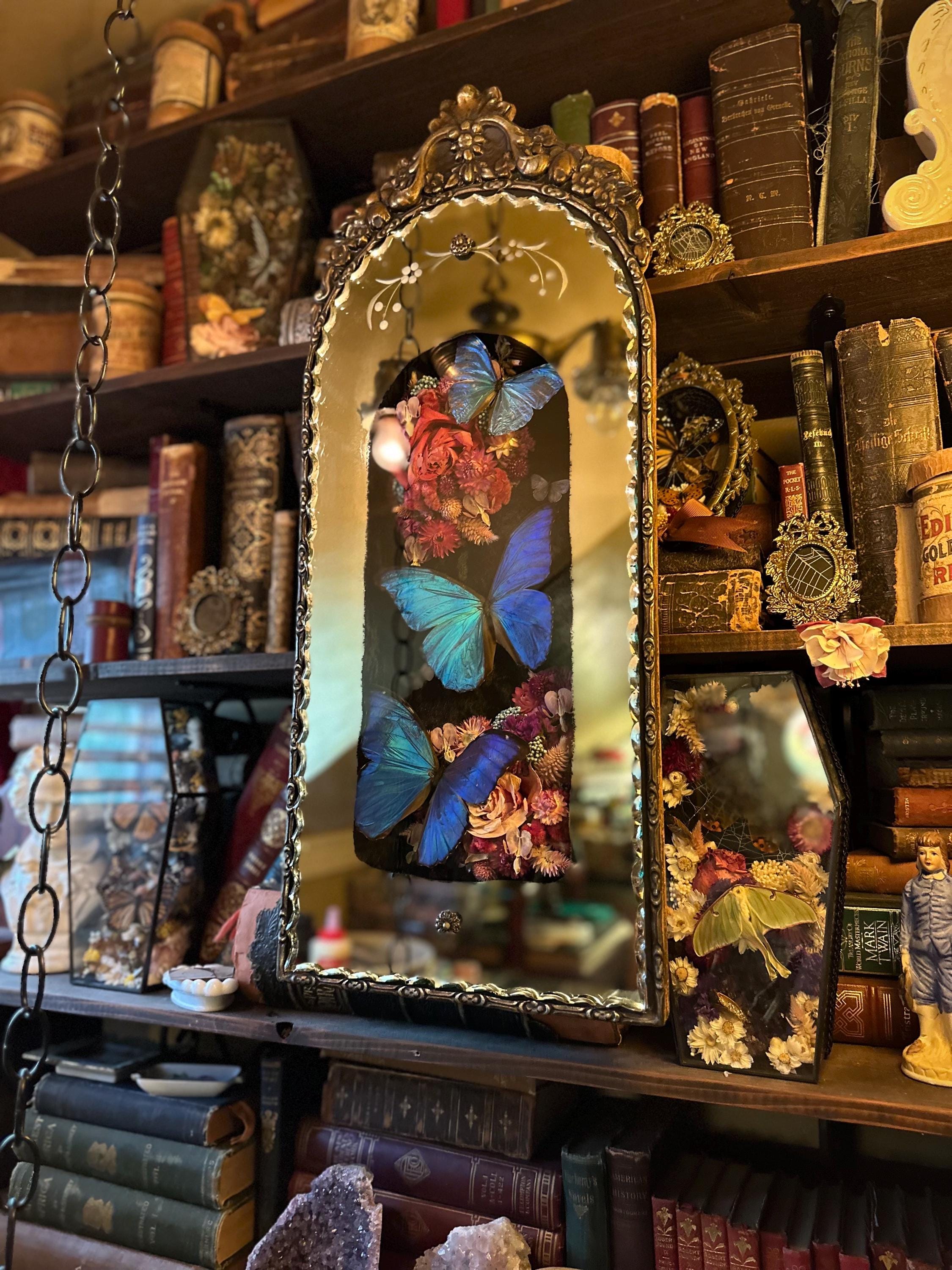 Antique Mirror Shadow Box Insect Art “sonder” - Etsy