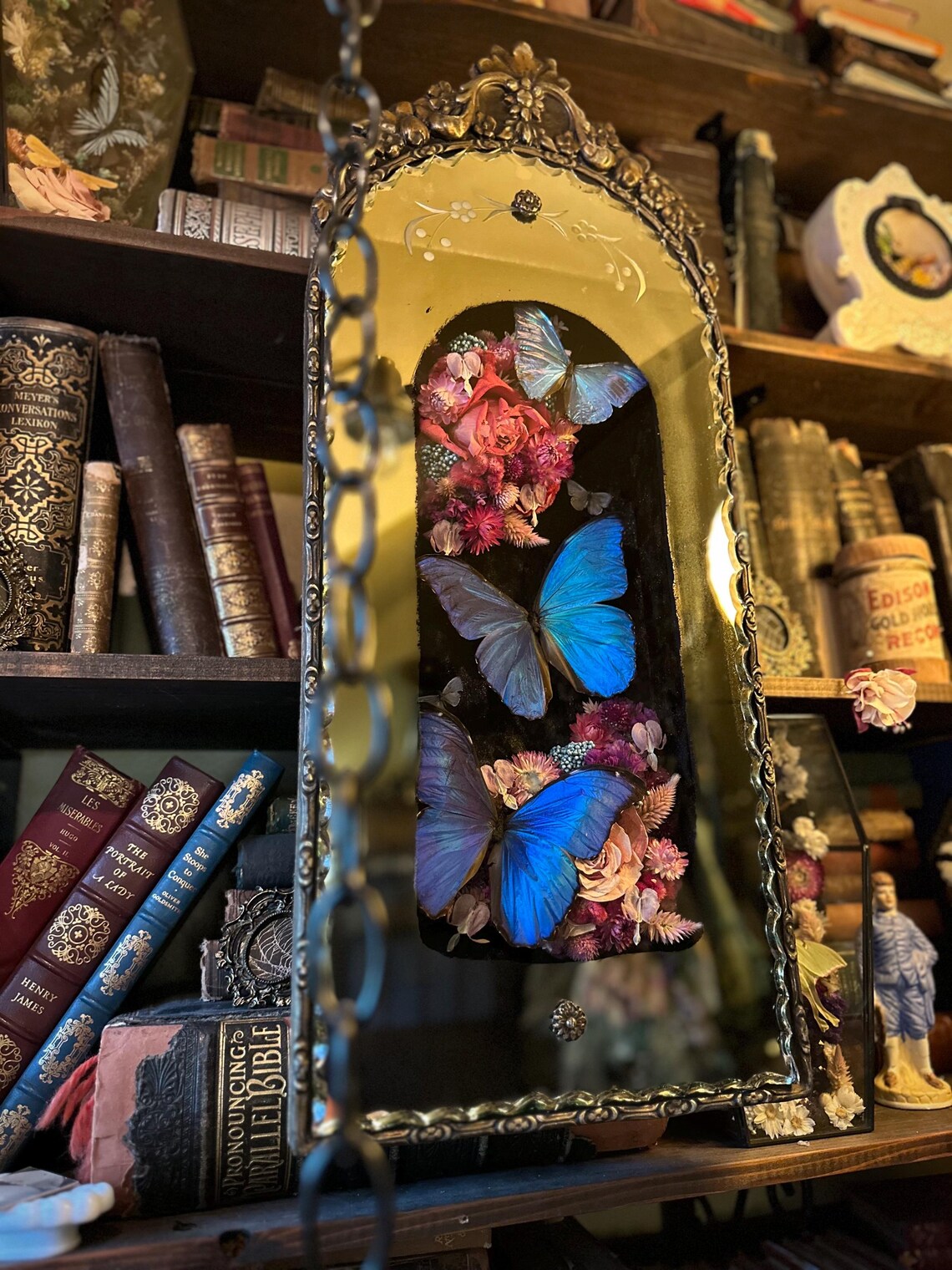 Antique Mirror Shadow Box Insect Art “sonder” - Etsy