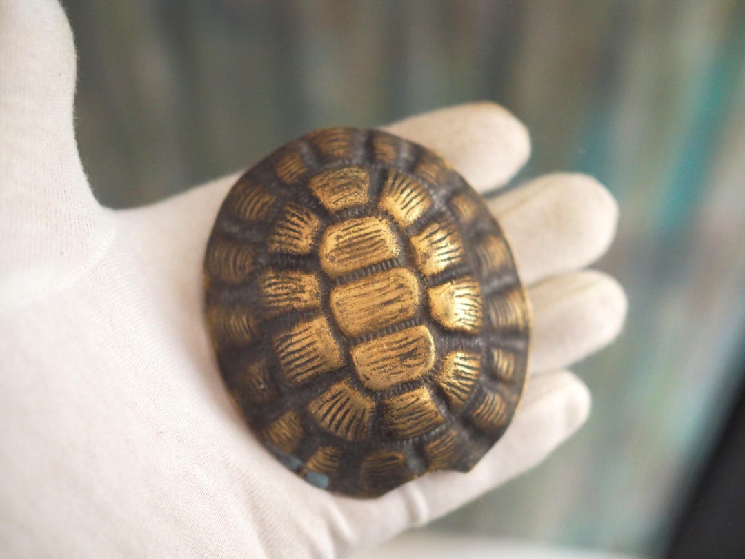 Vintage Bronze Turtle Shell Ashtray, Small Bronze Ashtray, Turtle ...