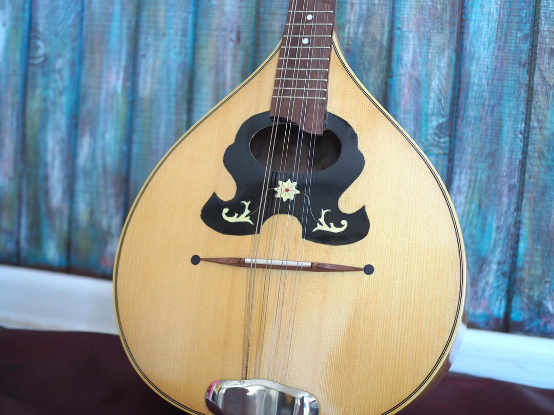 Mandolin Vintage 8-string German Made Mandolin - Etsy