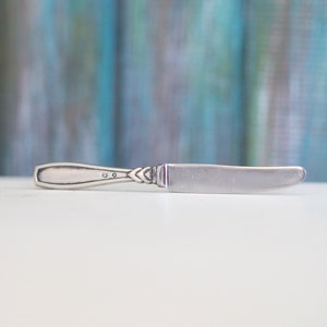 Raadvad Rustfri Stainless Steel , Solid Silver Handled Mini Butter ...