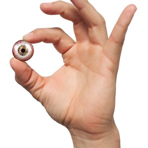 Extra Bloodshot Glass Eyes - Realistic Doll Multicolor Taxidermy ...