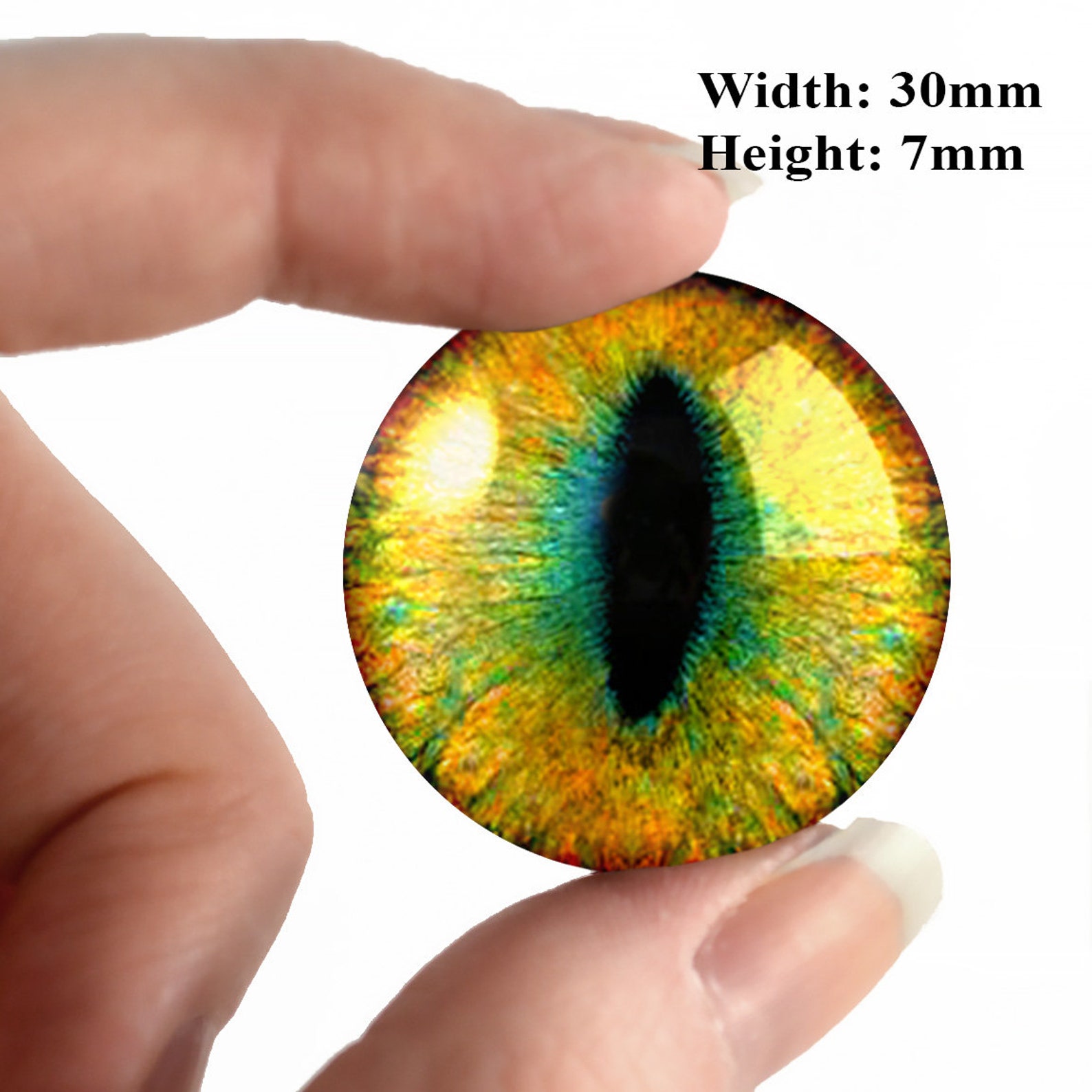 Yellow Snake Eyes Realistic Glass Animal Taxidermy Craft Eyeball Set ...