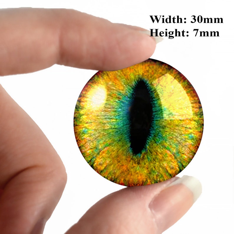 Yellow Snake Eyes Realistic Glass Animal Taxidermy Craft Eyeball Set ...