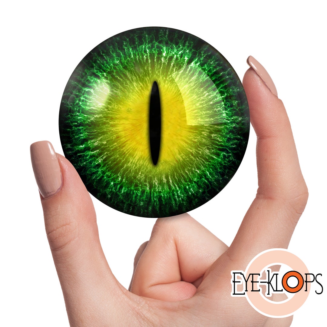 HUGE Green Eye - Large Realistic Reptile Animal Taxidermy Glass Eyeball ...