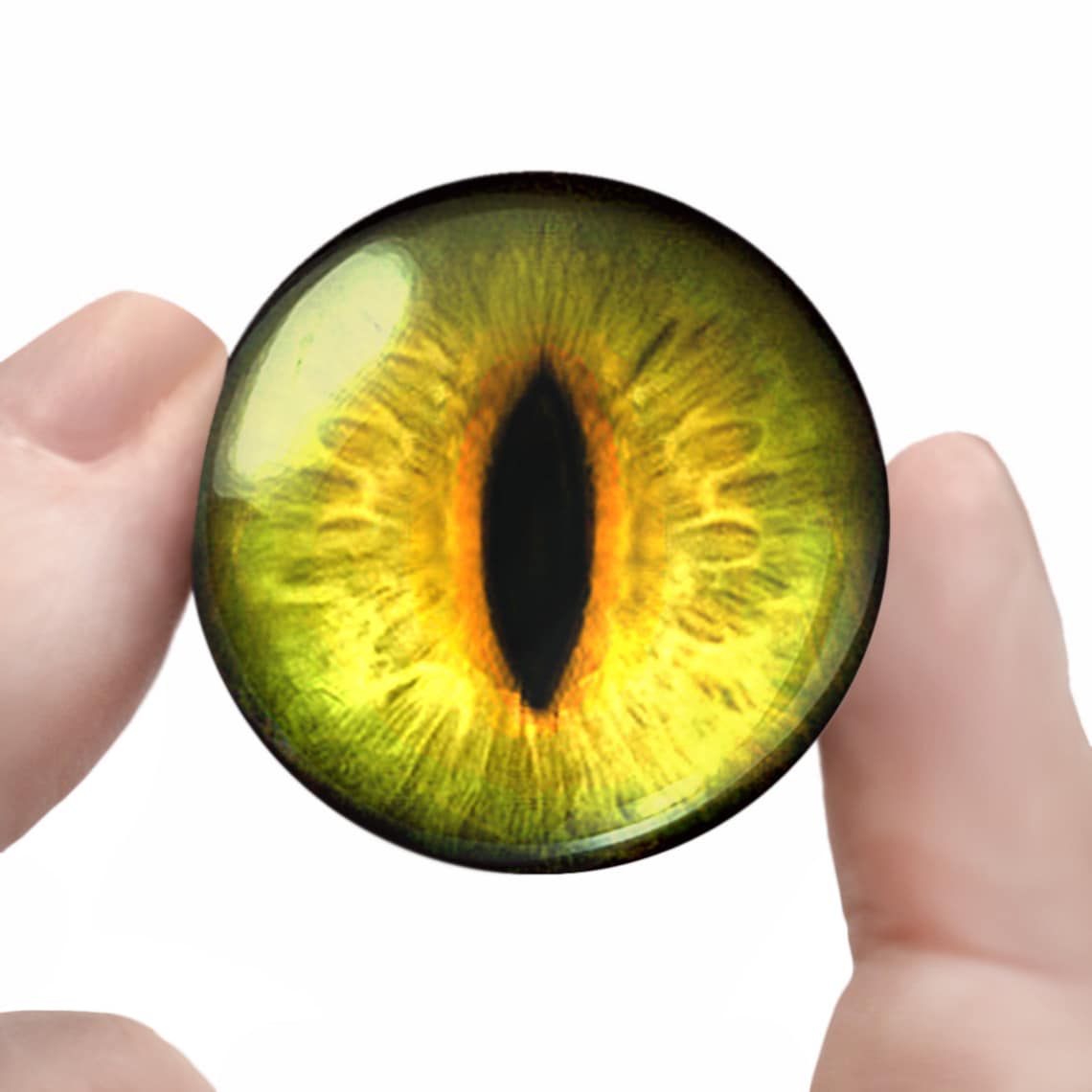 Yellow Dragon Eyes Realistic Glass Taxidermy Craft Eyeballs | Etsy