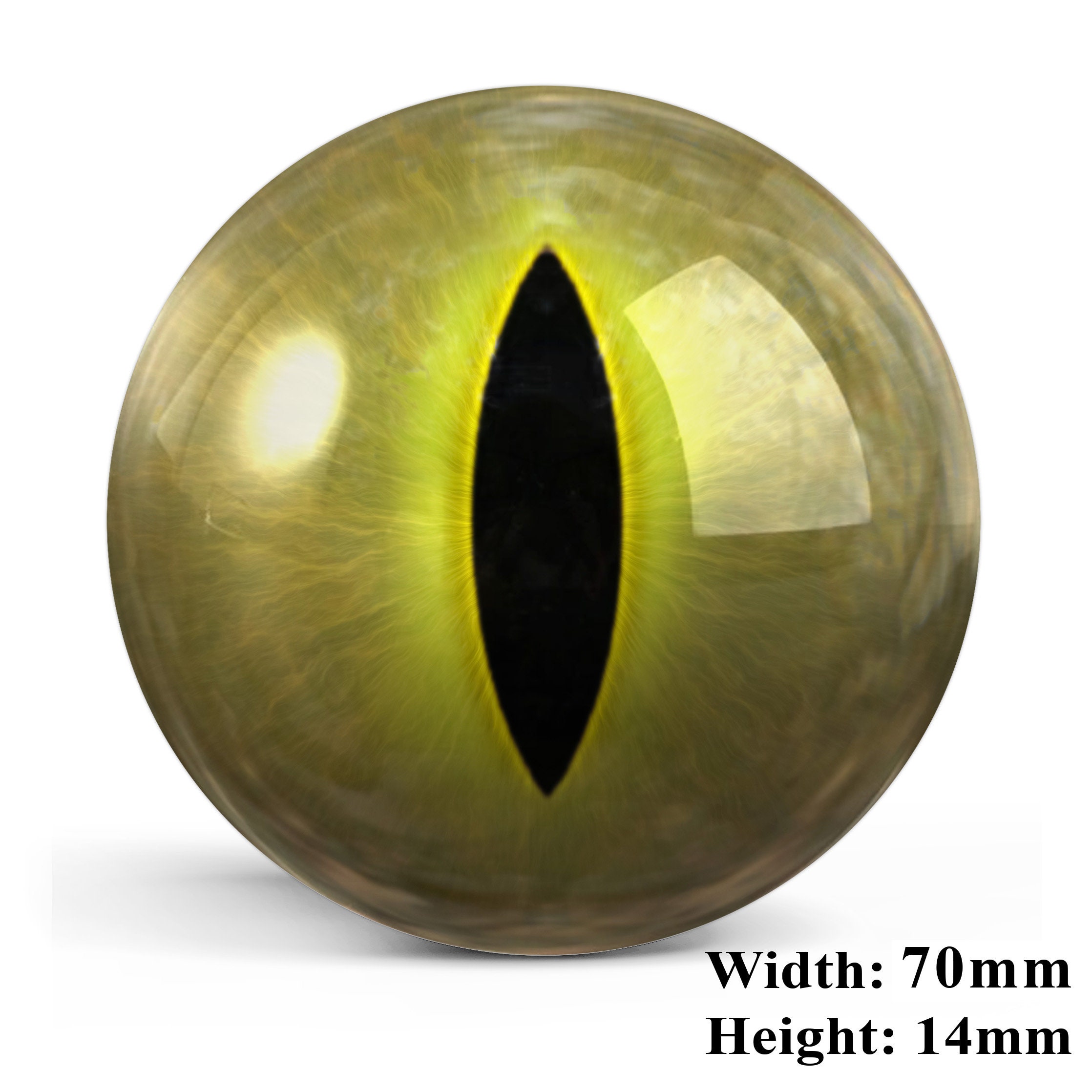 Green Cat Eye - Large Realistic Animal Taxidermy Glass Eyeball 70mm ...