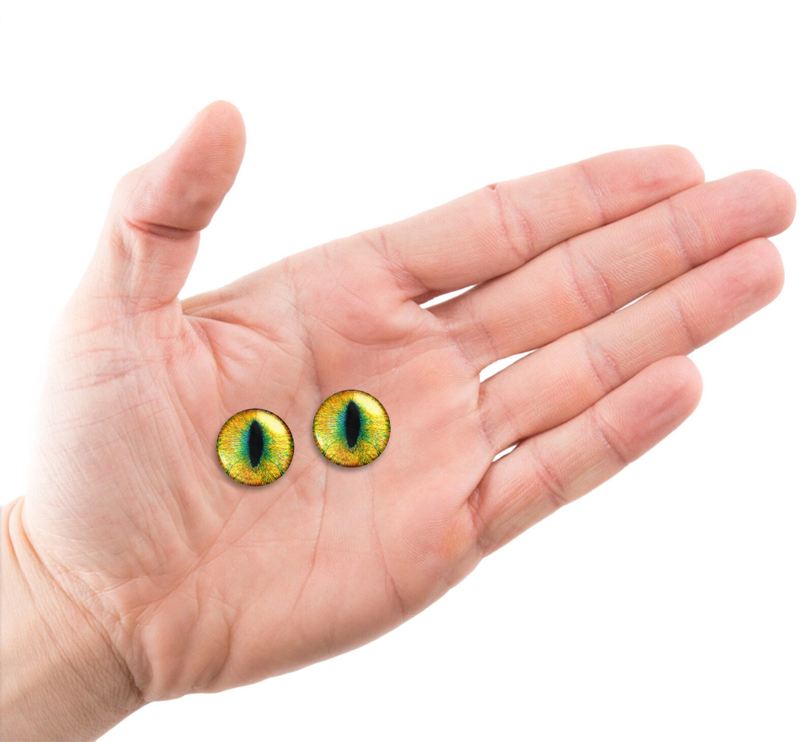 Yellow Snake Eyes Realistic Glass Animal Taxidermy Craft | Etsy