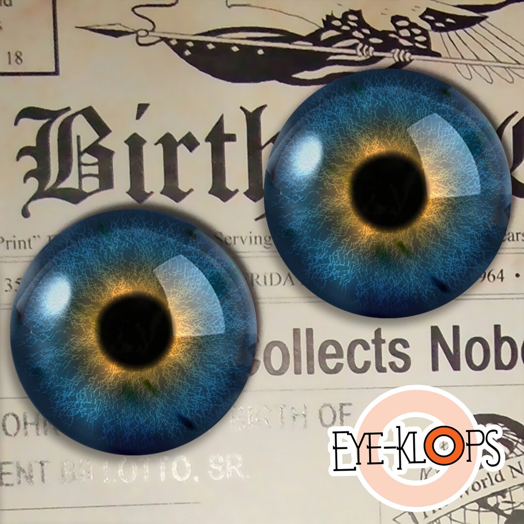 Blue Yellow Glass Eyes -HIGH DEFINITION- Realistic Human Iris Taxidermy ...