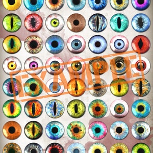 HUGE Devil Glass Eye - Realistic Monster Halloween Cosplay Eyeball 80mm ...