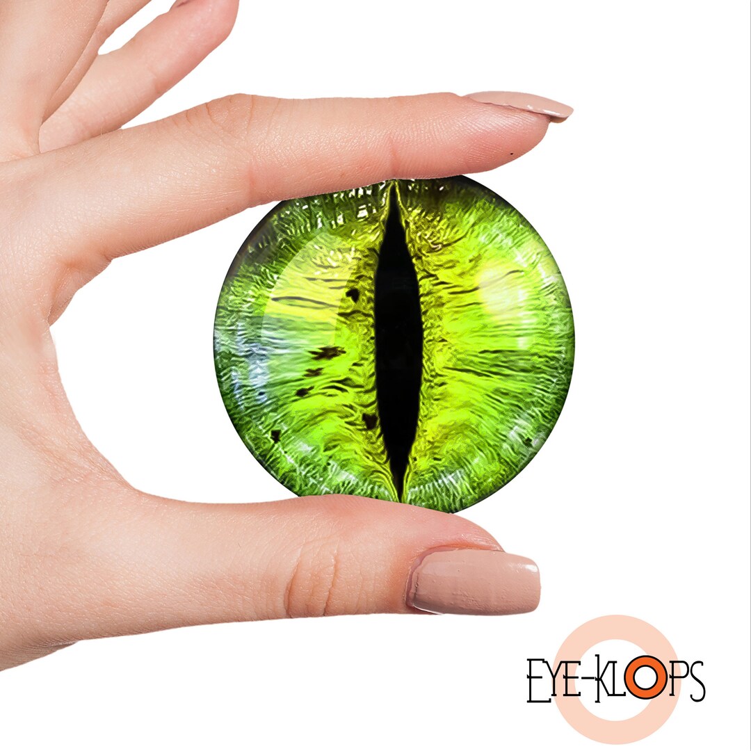 HUGE Green Cat Eye -PIXEL FREE- Realistic Animal Taxidermy Glass ...