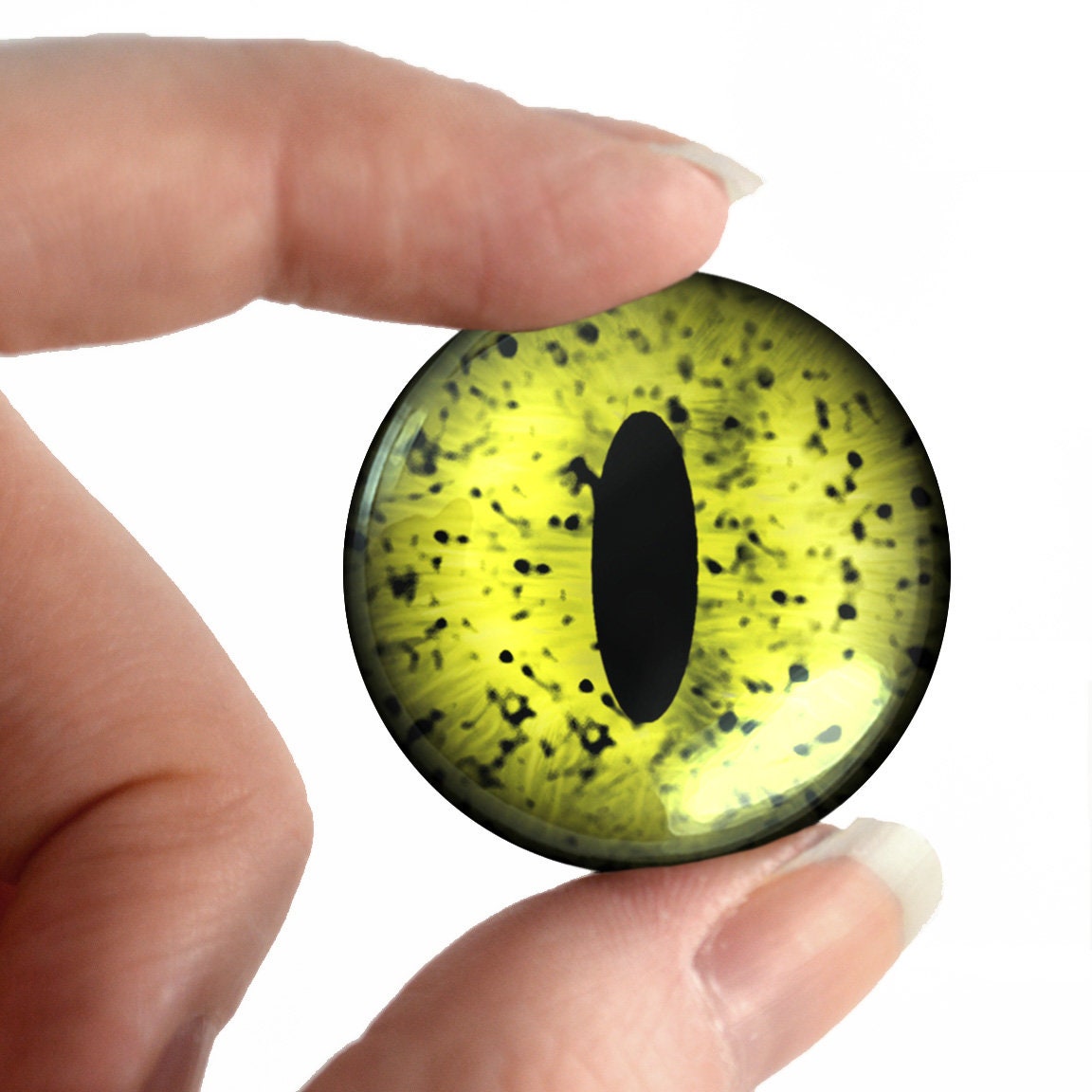 Green Speckled Frog Eyes Realistic Glass Animal Taxidermy | Etsy