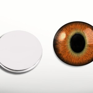 HUGE Devil Glass Eye - Realistic Monster Halloween Cosplay Eyeball 80mm ...