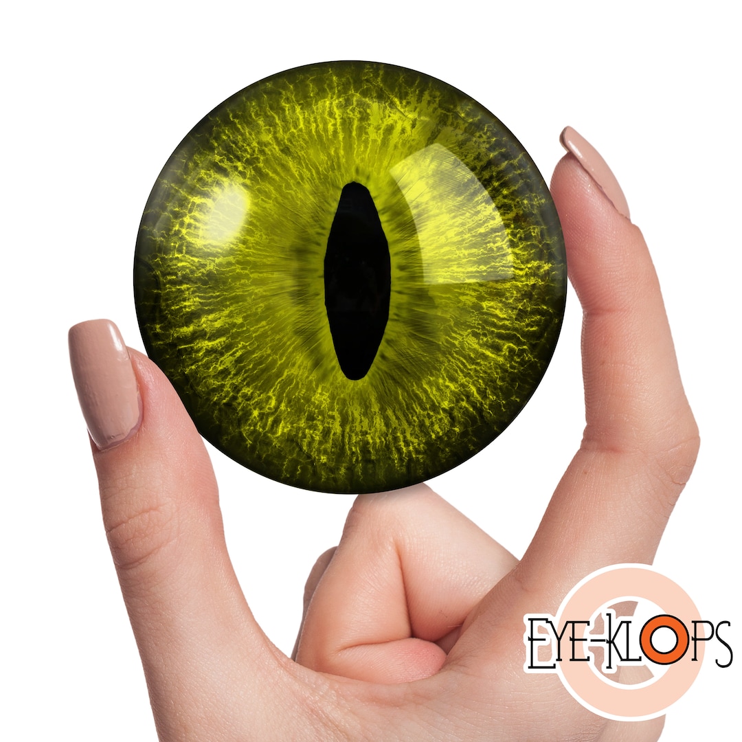 Moss Green Eye - Large Realistic Taxidermy Glass Eyeball 70mm Flatback ...