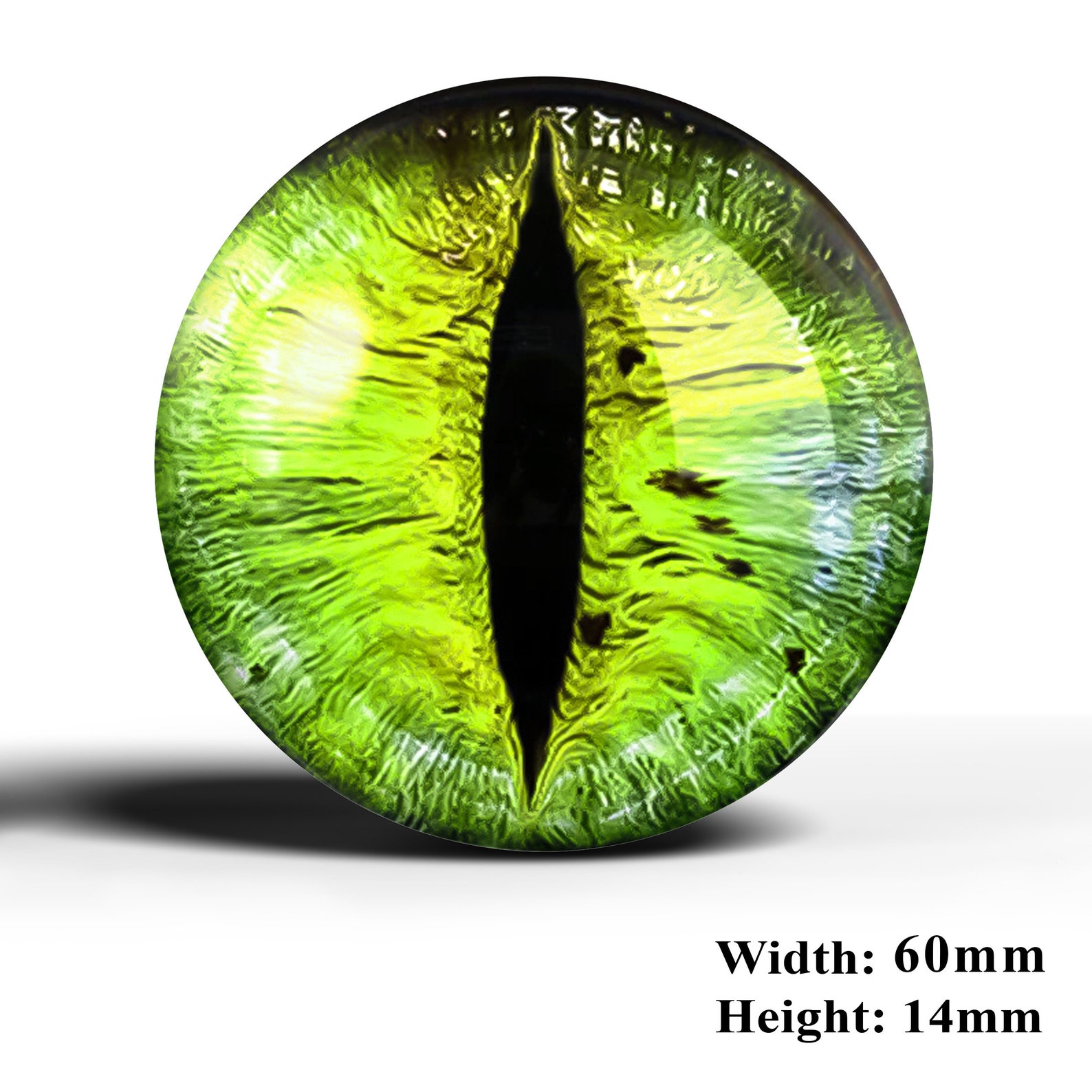 HUGE Green Cat Eye -PIXEL FREE- Realistic Animal Taxidermy Glass ...