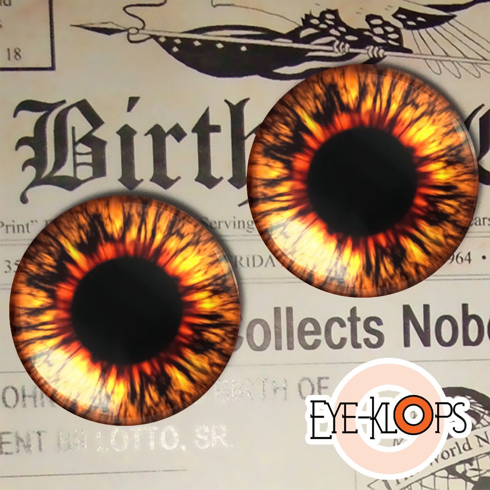 Fire Glass Eyes Realistic Taxidermy Fantasy Creature Eyeball | Etsy
