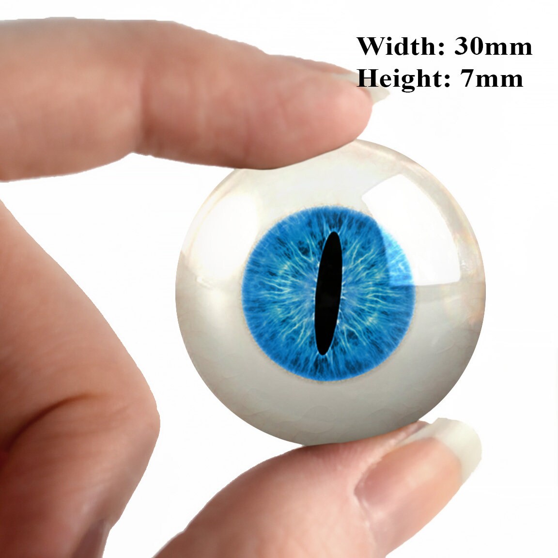 Blue Cat Eyes Realistic Glass Animal Taxidermy Craft Eyeballs Supply ...