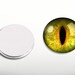 HUGE Yellow Glass Cat Eye -PIXEL FREE- Realistic Animal Taxidermy ...