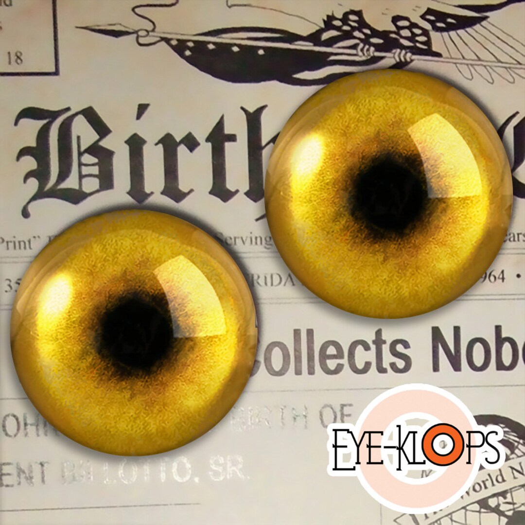 Panther Cat Eyes - PIXEL FREE - Realistic Leopard Animal Taxidermy ...