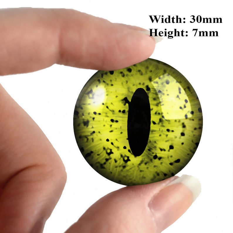 Green Speckled Frog Eyes Realistic Glass Animal Taxidermy Craft Eyeball ...