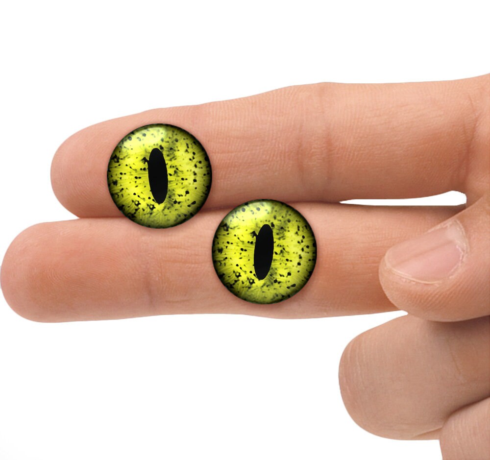 Green Speckled Frog Eyes Realistic Glass Animal Taxidermy | Etsy