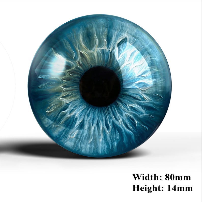 HUGE Blue Glass Eye Extra Large Macro Human Doll Taxidermy - Etsy