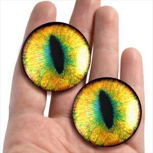 Yellow Snake Eyes Realistic Glass Animal Taxidermy Craft | Etsy