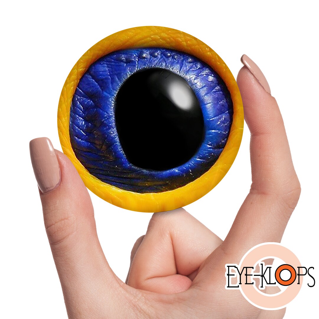 Tropical Bird Eye - Large Realistic Animal Taxidermy Glass Eyeball 70mm ...
