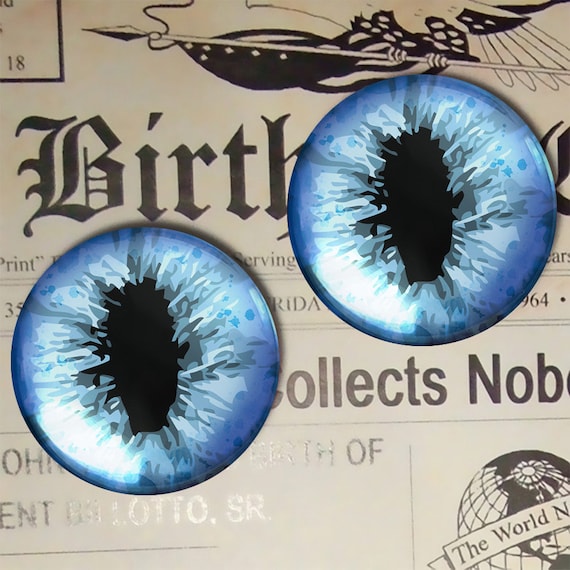 Blue Cartoon Eyes Glass Fantasy Monster Creature Taxidermy - Etsy UK