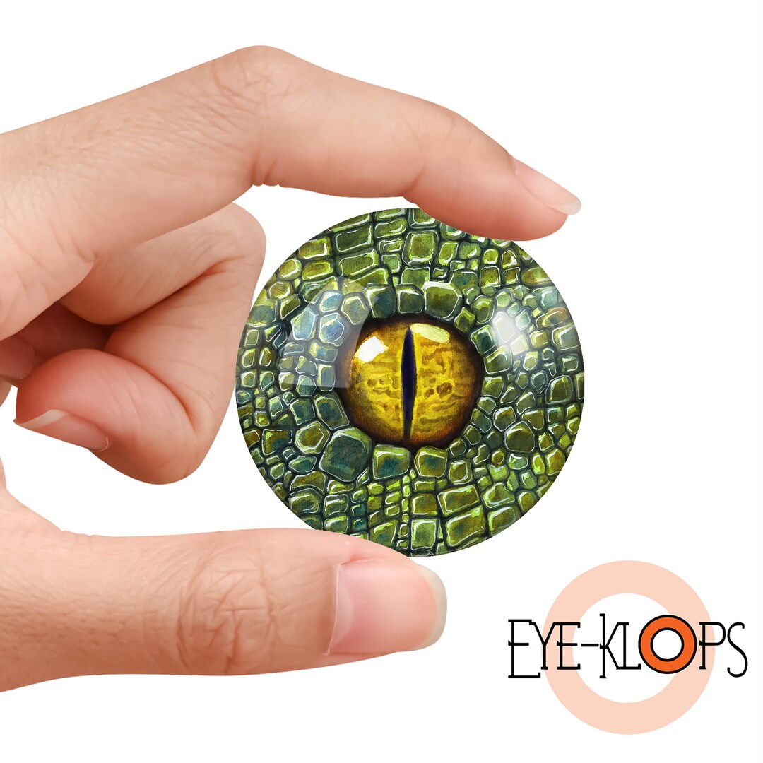 Alligator Eyes -PIXEL FREE- Realistic Animal Reptile Taxidermy Eyeball ...