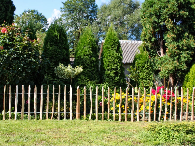 Wooden Fence - Decorative Hazelnut Wood Garden Fence in Different ...