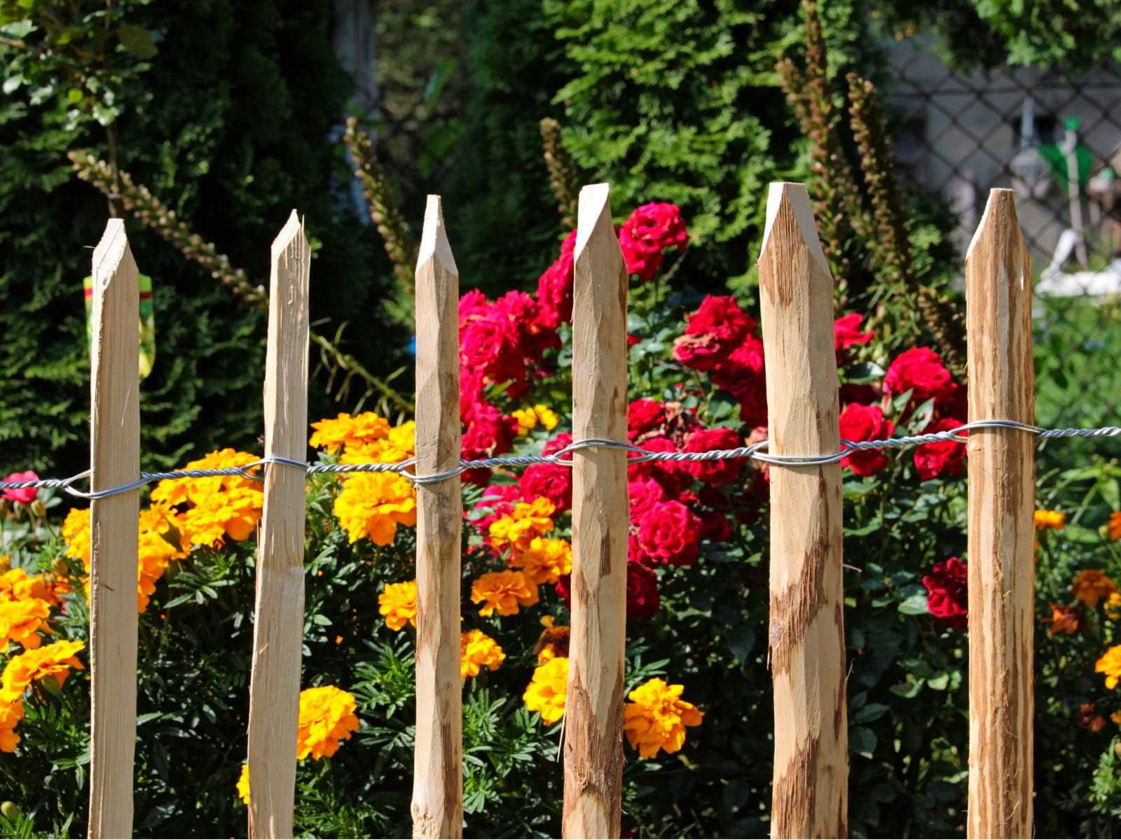 Wooden Fence - Decorative Hazelnut Wood Garden Fence in Different ...