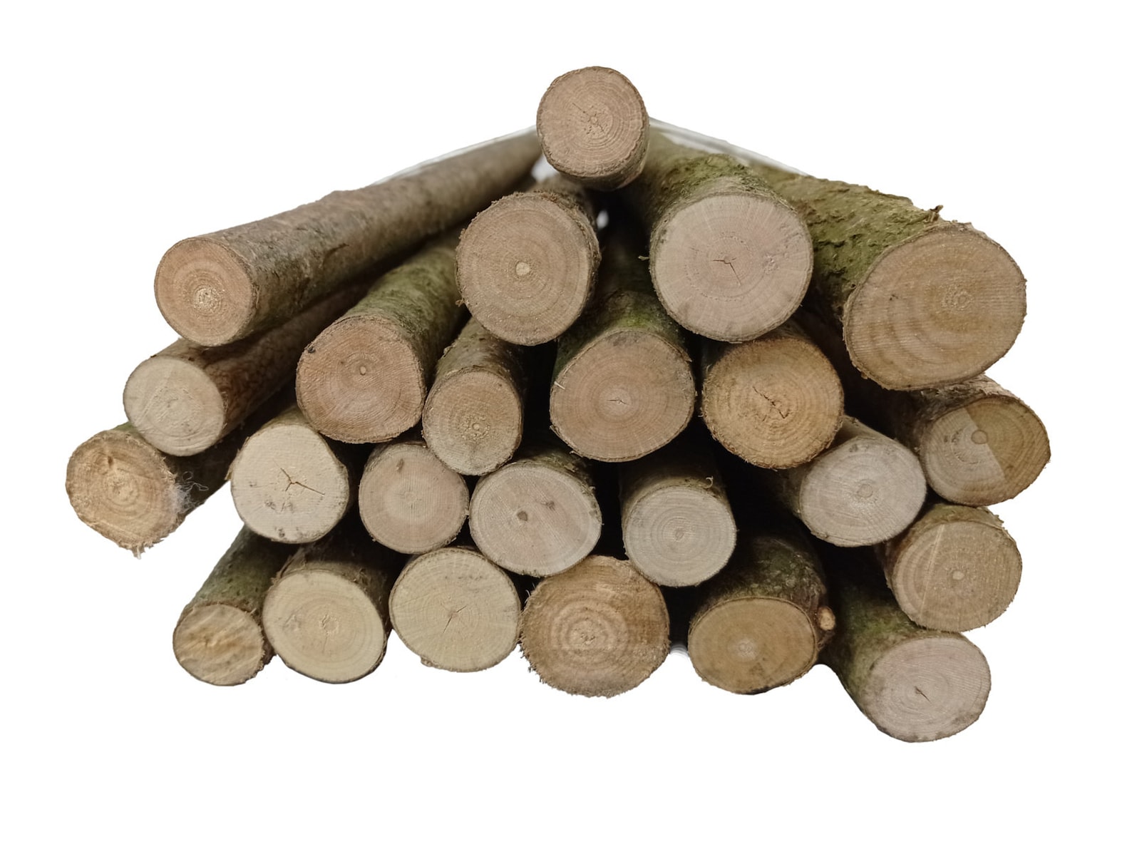 Walnut Wood Garden Fence Posts: Natural Pointed Pegs (height 80cm 25 ...