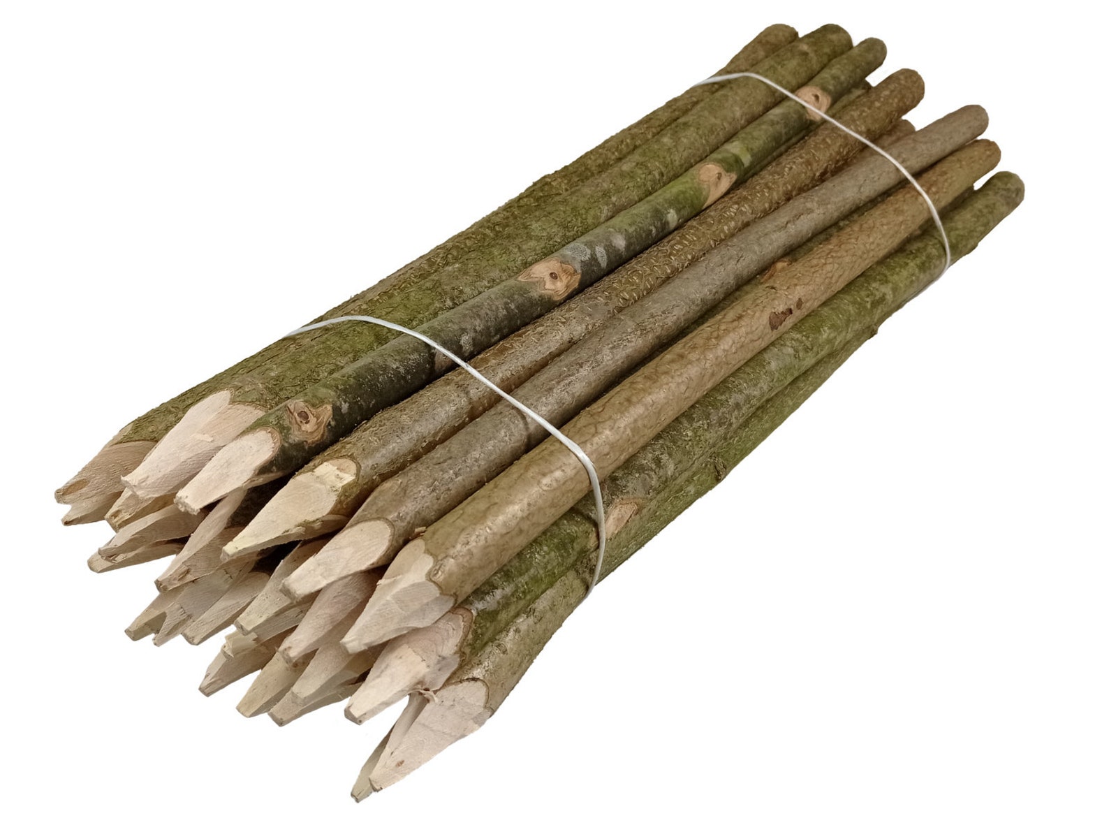 Walnut Wood Garden Fence Posts: Natural Pointed Pegs (height 60cm 25 ...