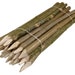 Walnut Wood Garden Fence Posts: Natural Pointed Pegs (height 80cm 25 ...