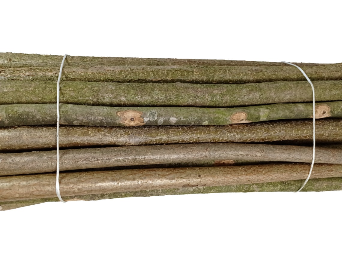 Walnut Wood Garden Fence Posts: Natural Pointed Pegs (height 80cm 25 ...