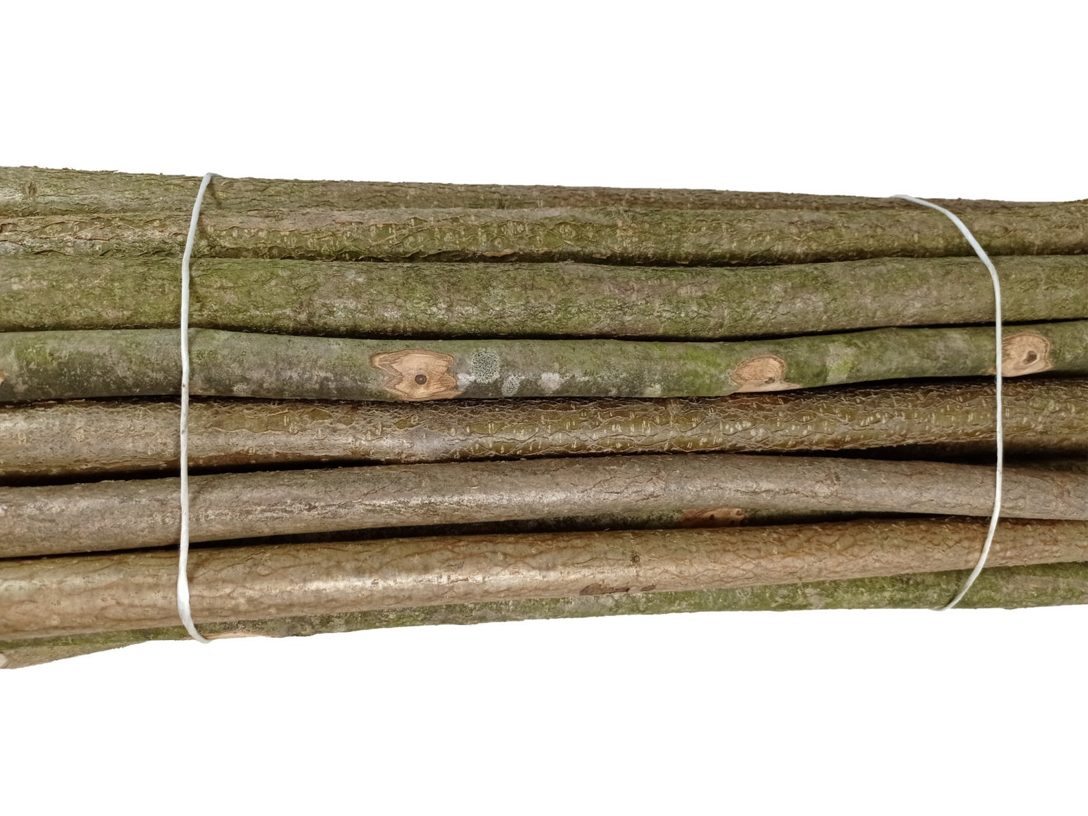 Walnut Wood Garden Fence Posts: Natural Pointed Pegs (height 80cm 25 ...