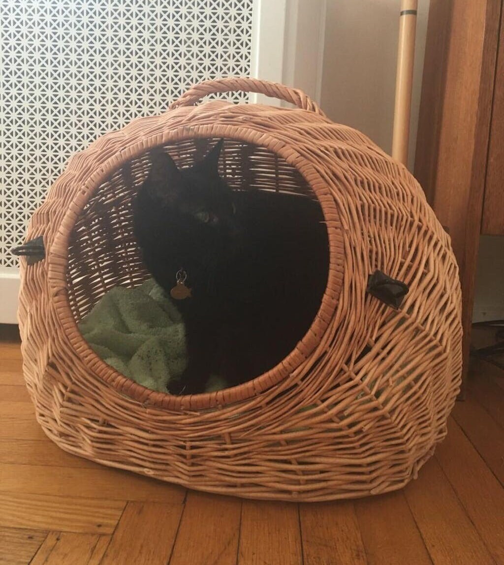 Wicker Pet Travel Carrier, Wicker Cat Kennel With Locker in Natural ...