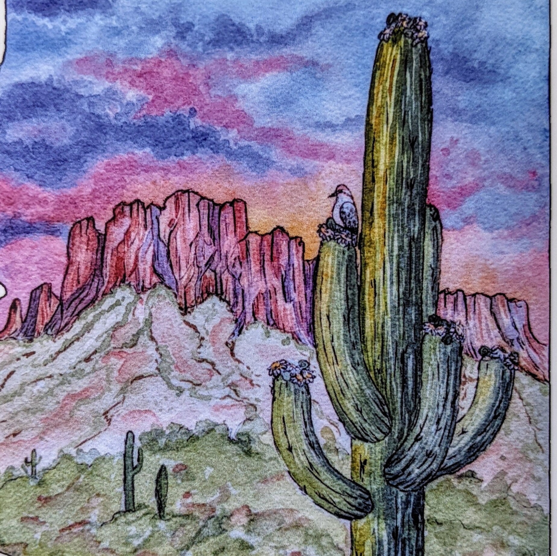 Arizona Watercolor Sticker - Etsy