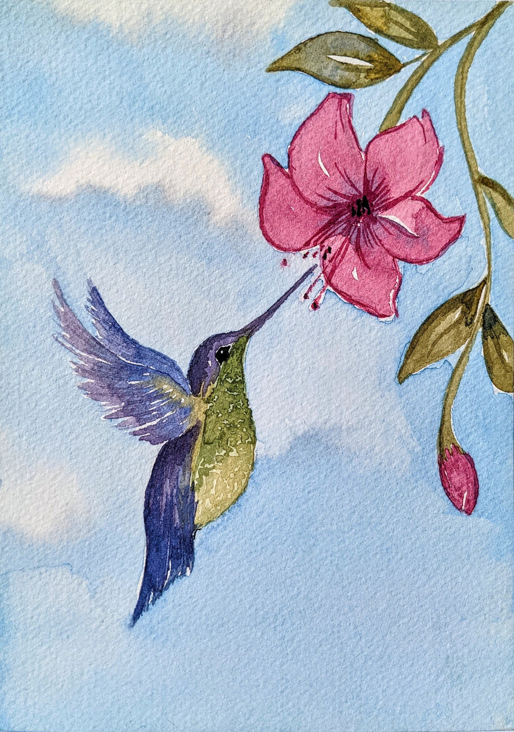 Hummingbird and Pink Flower Watercolor Print - Etsy