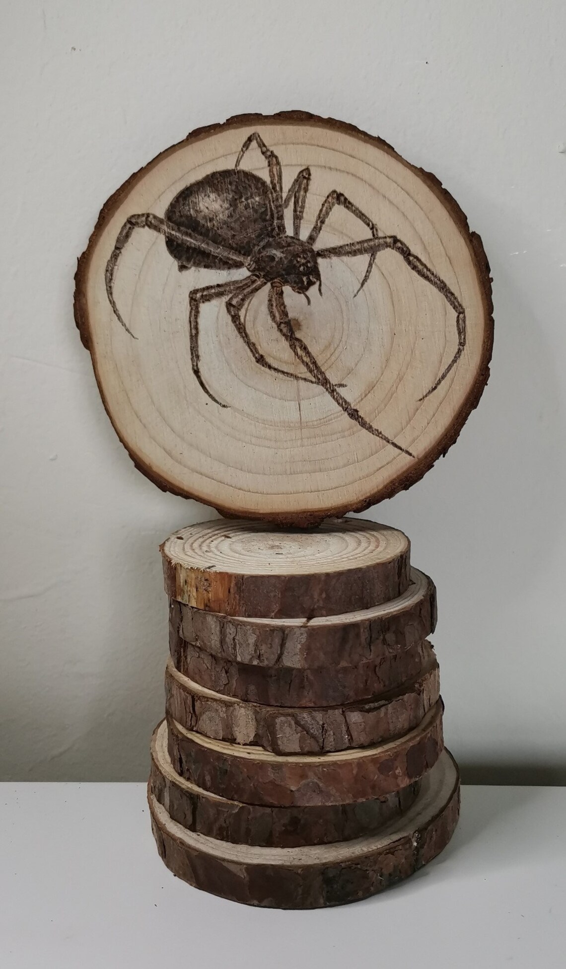 Pyrography Spider Coaster Plaque Art Gift Wood Burning - Etsy UK