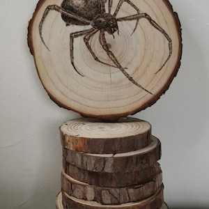 Pyrography Spider Coaster Plaque Art Gift Wood Burning - Etsy UK