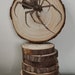 Pyrography Spider Coaster Plaque Art Gift Wood Burning - Etsy UK