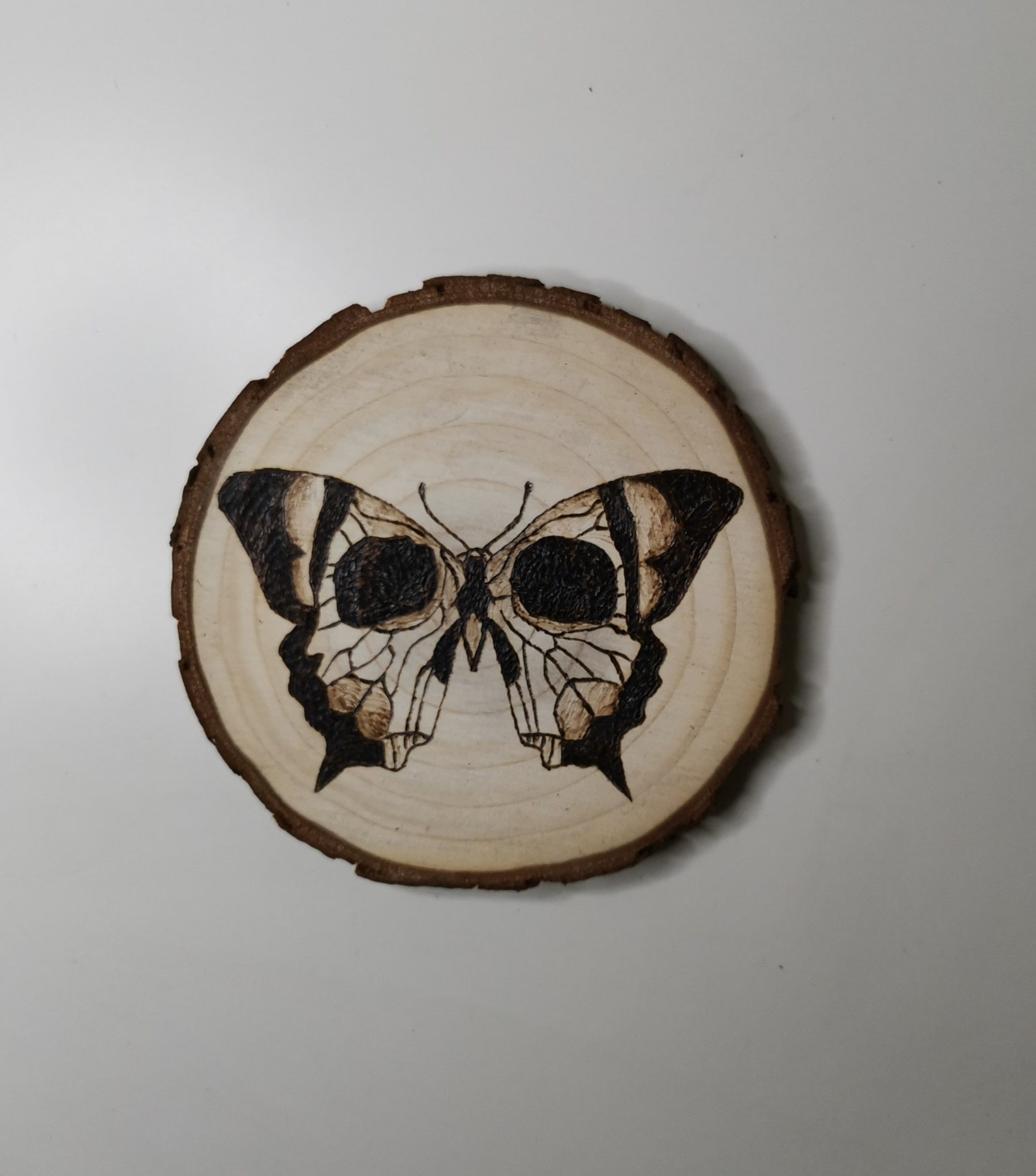 Butterfly Skull Pyrography Coaster Plaque Art Gift Wood Burning ...