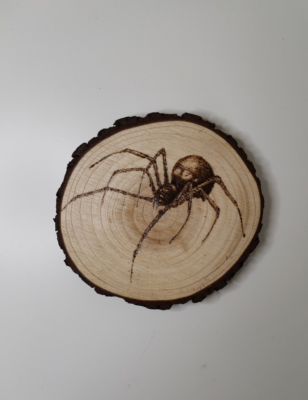 Pyrography Spider Coaster Plaque Art Gift Wood Burning Handmade Fathers ...