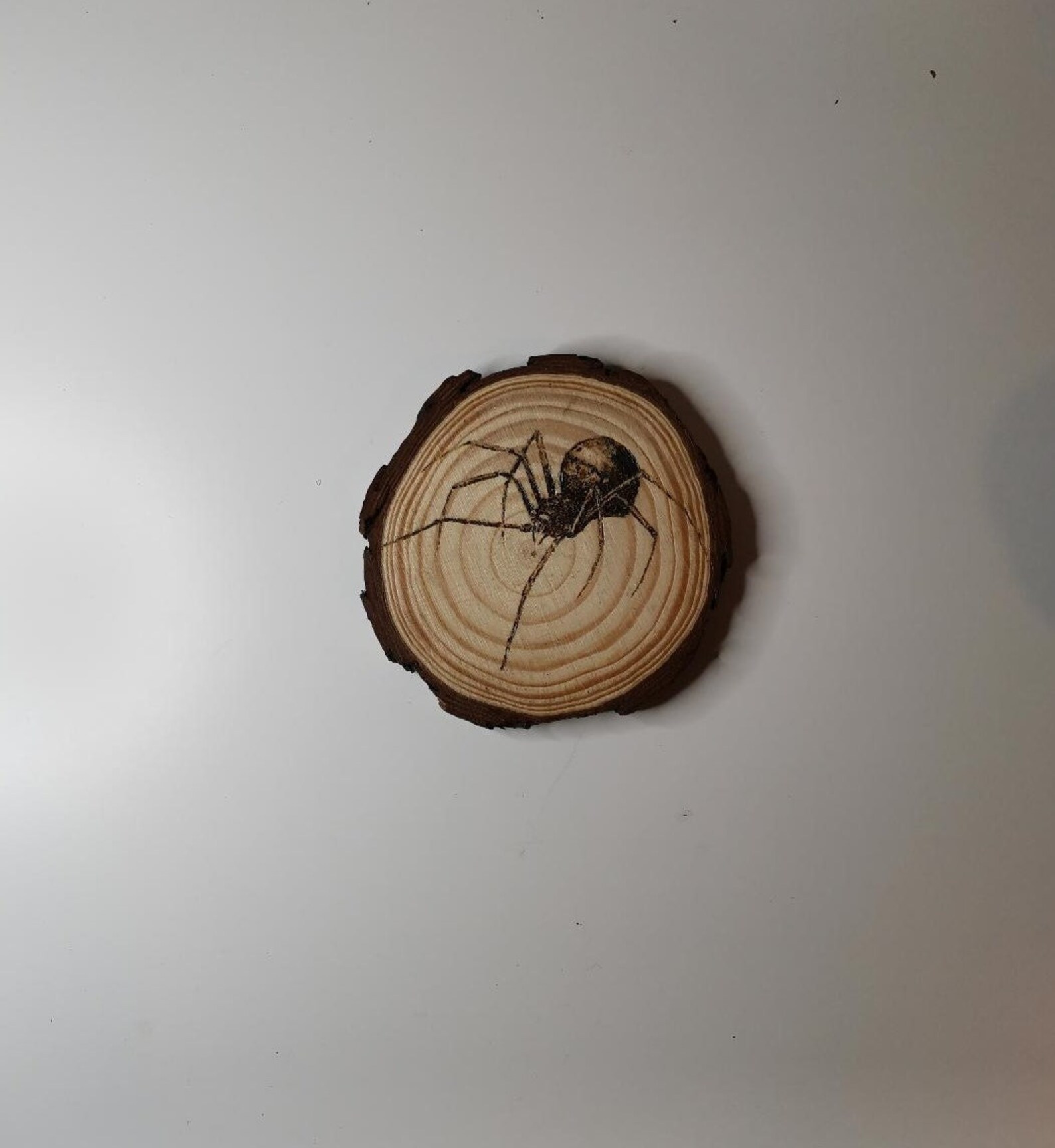 Pyrography Spider Coaster Plaque Art Gift Wood Burning Handmade Fathers ...